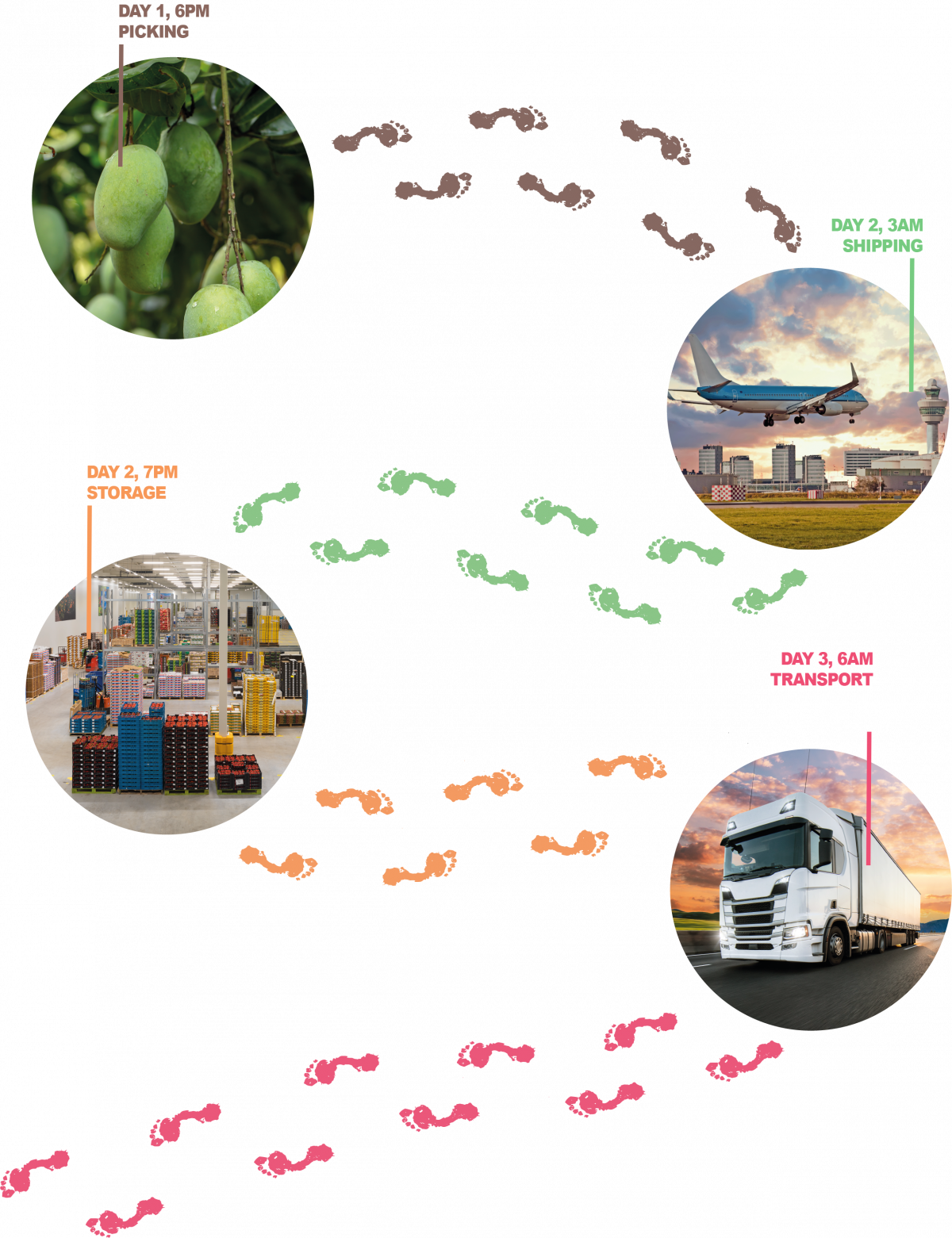 Waarom Exotic Roots | Exotic Roots - Importeur en groothandel in ...