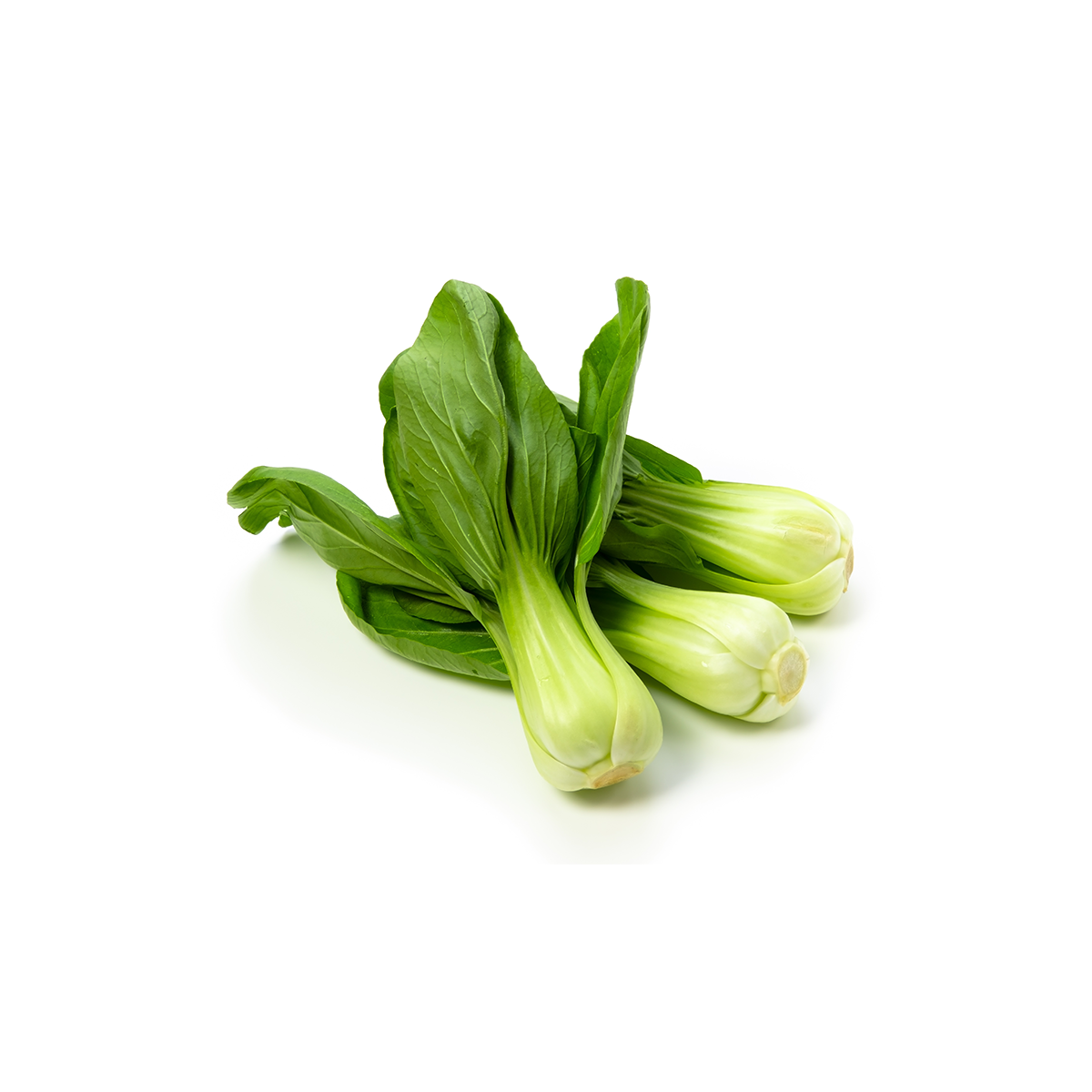 Onze producten | Exotic Roots - Importeur en groothandel in groente en ...