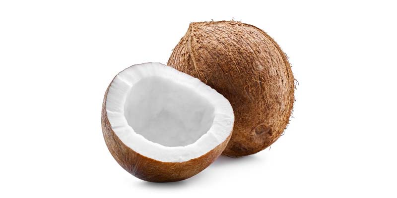 Coconut | Exotic Roots - Importeur en groothandel in groente en fruit