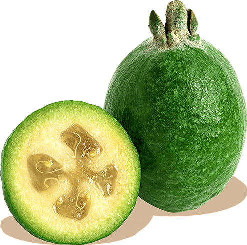 Feijoa | Exotic Roots - Importeur en groothandel in groente en fruit